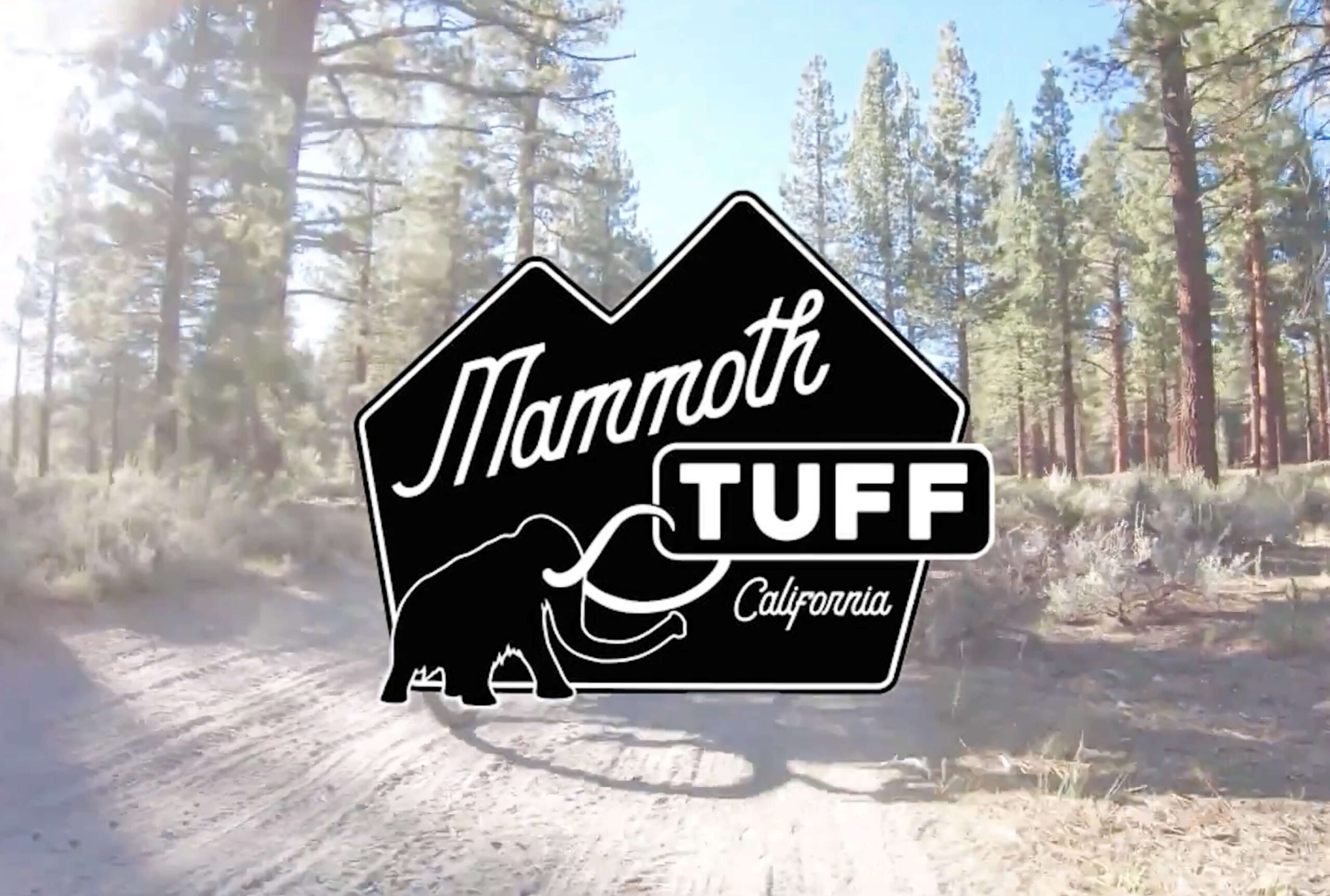 WALLOP WATER for Mammoth TUFF: Hydration Solution